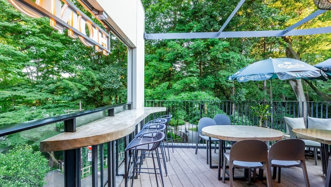 吉祥寺駅から徒歩4分、吉祥寺 井の頭公園テラス付きレストランです。 四季の移ろいを感じられる開放的で洗練されたデザイン空間の写真5