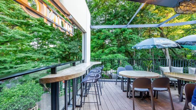 吉祥寺駅から徒歩4分、吉祥寺 井の頭公園テラス付きレストランです。 四季の移ろいを感じられる開放的で洗練されたデザイン空間の写真11