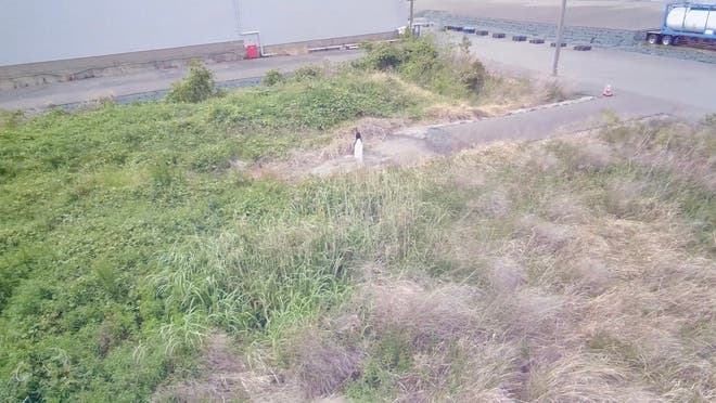 工業地帯にあるサイロ(工場)の地下 / 屋内 / 屋上、さらには敷地内のアスファルト / 草むらを活用した撮影はいかがでしょう?の写真7