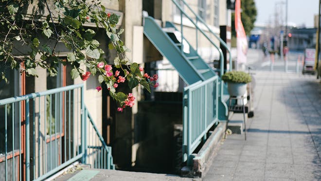 長期イベント、ペット撮影も要相談!海近くのエリアに佇むレトロビルの1F。の写真27