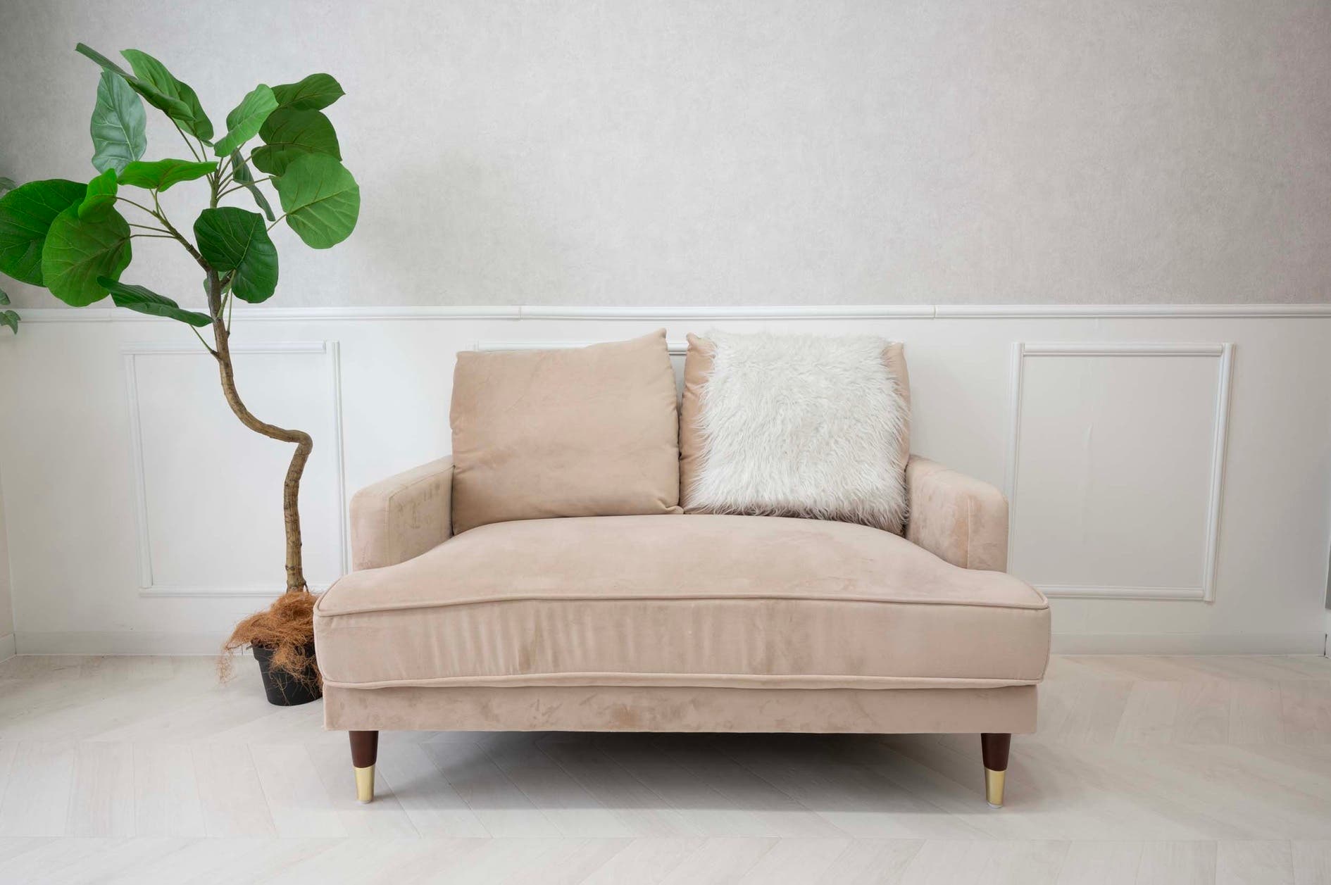 【💐撮影機材・小物無料｜JR柏駅3分すぐ】自然光◎完全貸切の撮影スタジオ✨モール壁で高級感グッと演出/ ポートレート最適✨の写真10