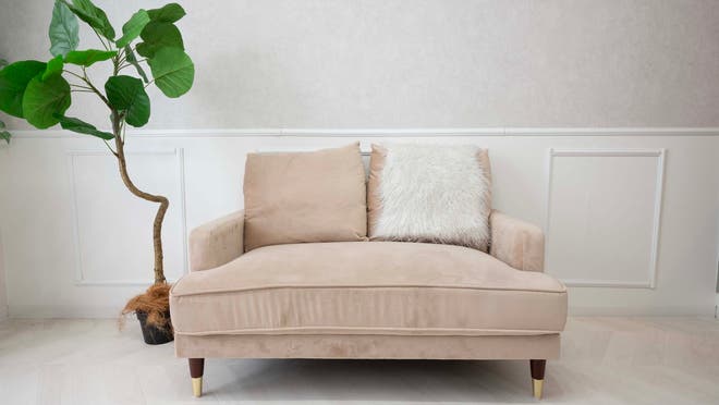 【💐撮影機材・小物無料|JR柏駅3分すぐ】自然光◎完全貸切の撮影スタジオ✨モール壁で高級感グッと演出/ ポートレート最適✨の写真10