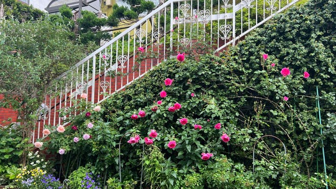 鎌倉小さな隠れ家サロンの写真3