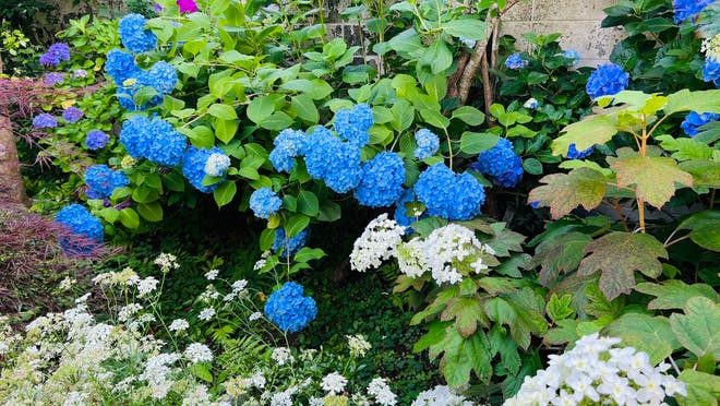 鎌倉小さな隠れ家サロンの写真6