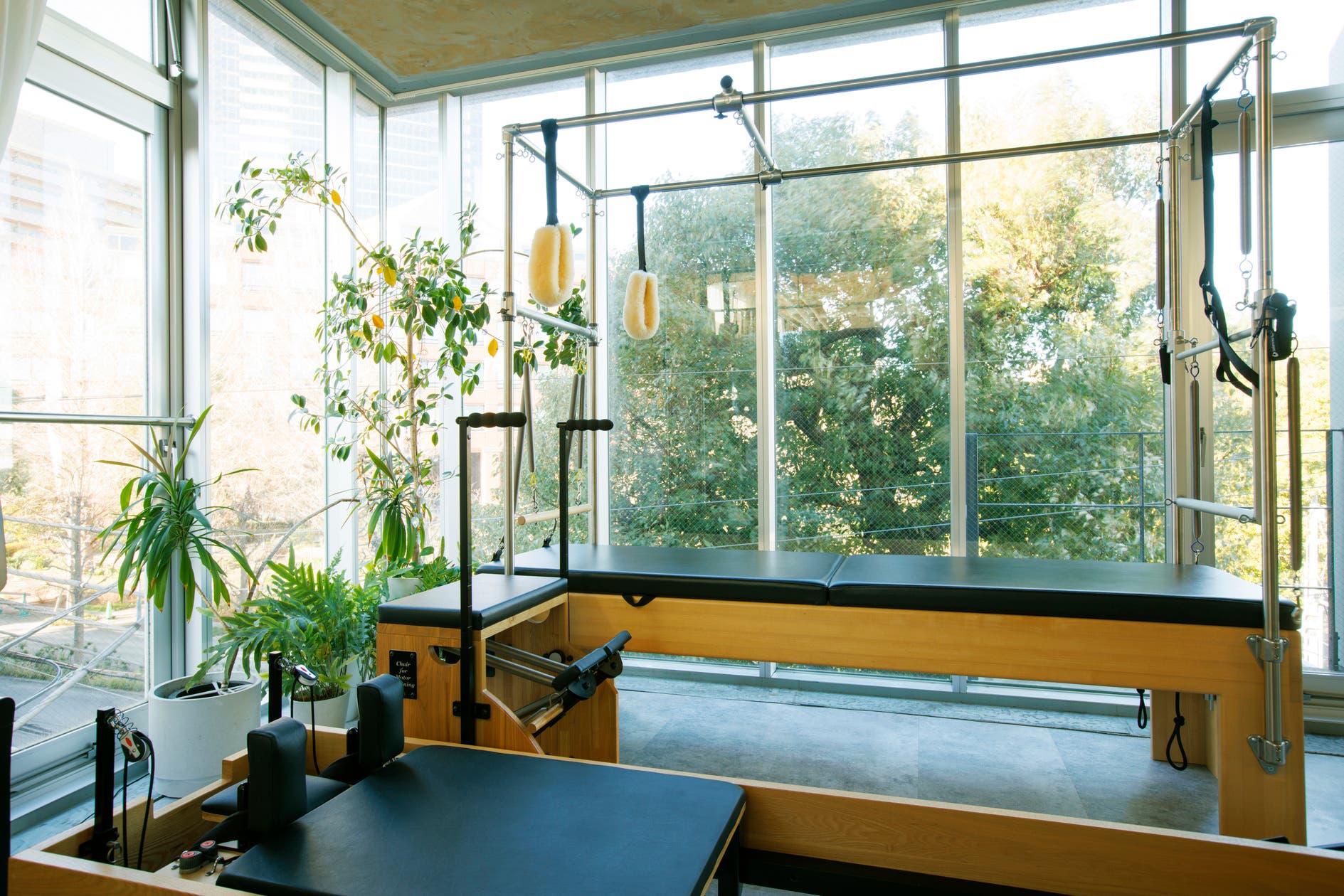 恵比寿駅から徒歩10分以内。目の前に緑が広がる都会のオアシスピラティススタジオの写真2