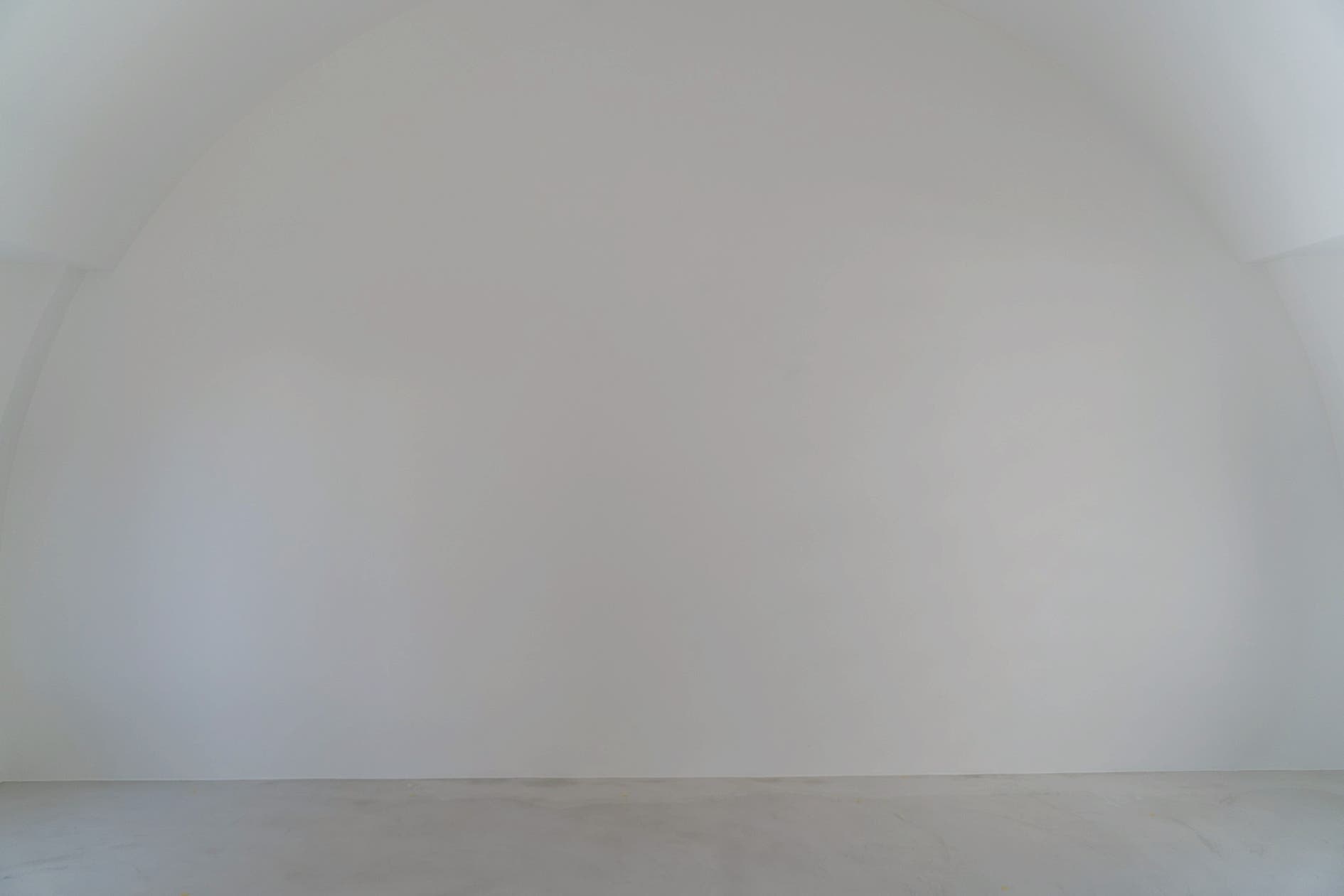 【個人ご利用限定】大阪中之島 美術館エリア｜天高3.6mのアーチ天井｜光と余白を楽しむ2つの空間の写真15