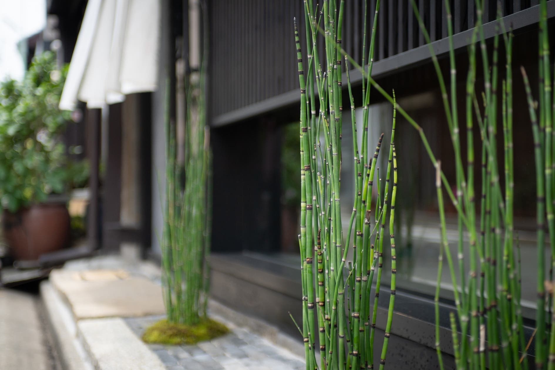 【四間道・古民家】ギャラリー・作家個展・ポップアップ・撮影に|歴史的建造物の和モダン空間|名古屋駅徒歩圏の写真15