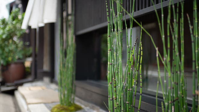 【四間道・古民家】ギャラリー・作家個展・ポップアップ・撮影に|歴史的建造物の和モダン空間|名古屋駅徒歩圏の写真15