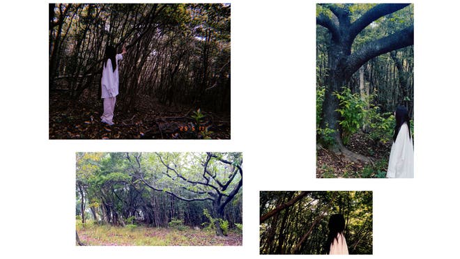 静かで穏やかな自然の山の中で、MVやドラマなど撮影してみてはいかがでしょうか?の写真1