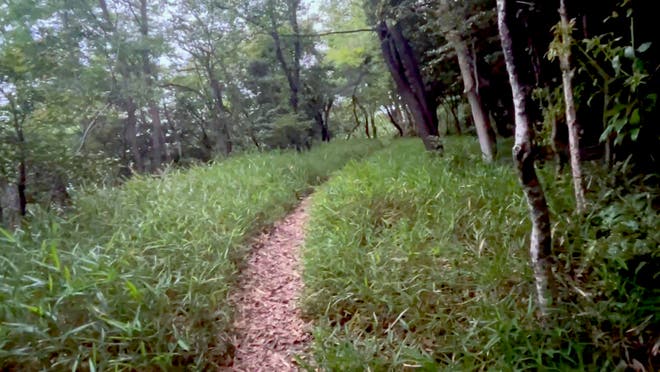 静かで穏やかな自然の山の中で、MVやドラマなど撮影してみてはいかがでしょうか?の写真3