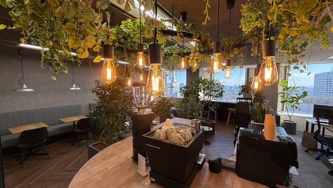 【新宿36階の絶景】生木のグリーンと本格バーカウンター完備。現役広告代理店の洗練オフィスで宣材・商品撮影をの写真1