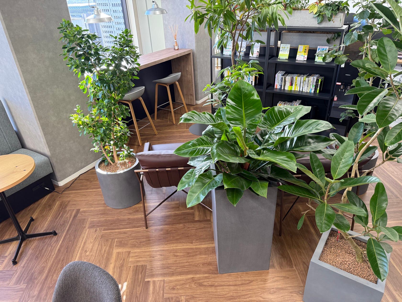 【新宿36階の絶景】生木のグリーンと本格バーカウンター完備。現役広告代理店の洗練オフィスで宣材・商品撮影をの写真5