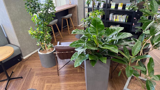 【新宿36階の絶景】生木のグリーンと本格バーカウンター完備。現役広告代理店の洗練オフィスで宣材・商品撮影をの写真5