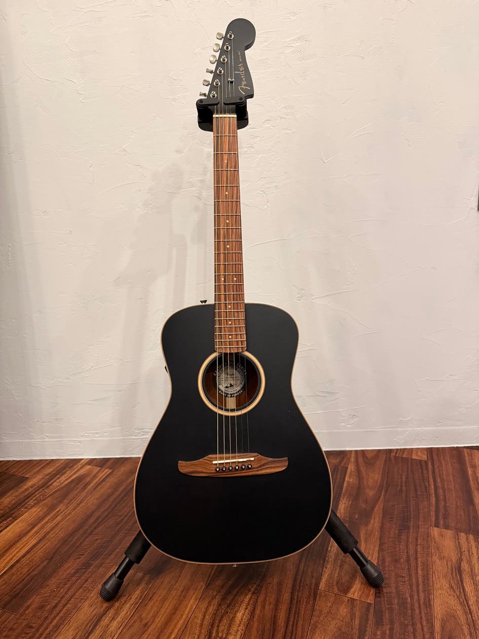 エレクトリック・アコースティックギターの画像1