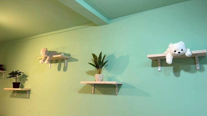 【池尻大橋駅 徒歩4分】料理教室・お菓子作り🍽️女子会・ママ会・オフ会🍃YouTube撮影📸会議・取材・インタビュー🖊の写真24