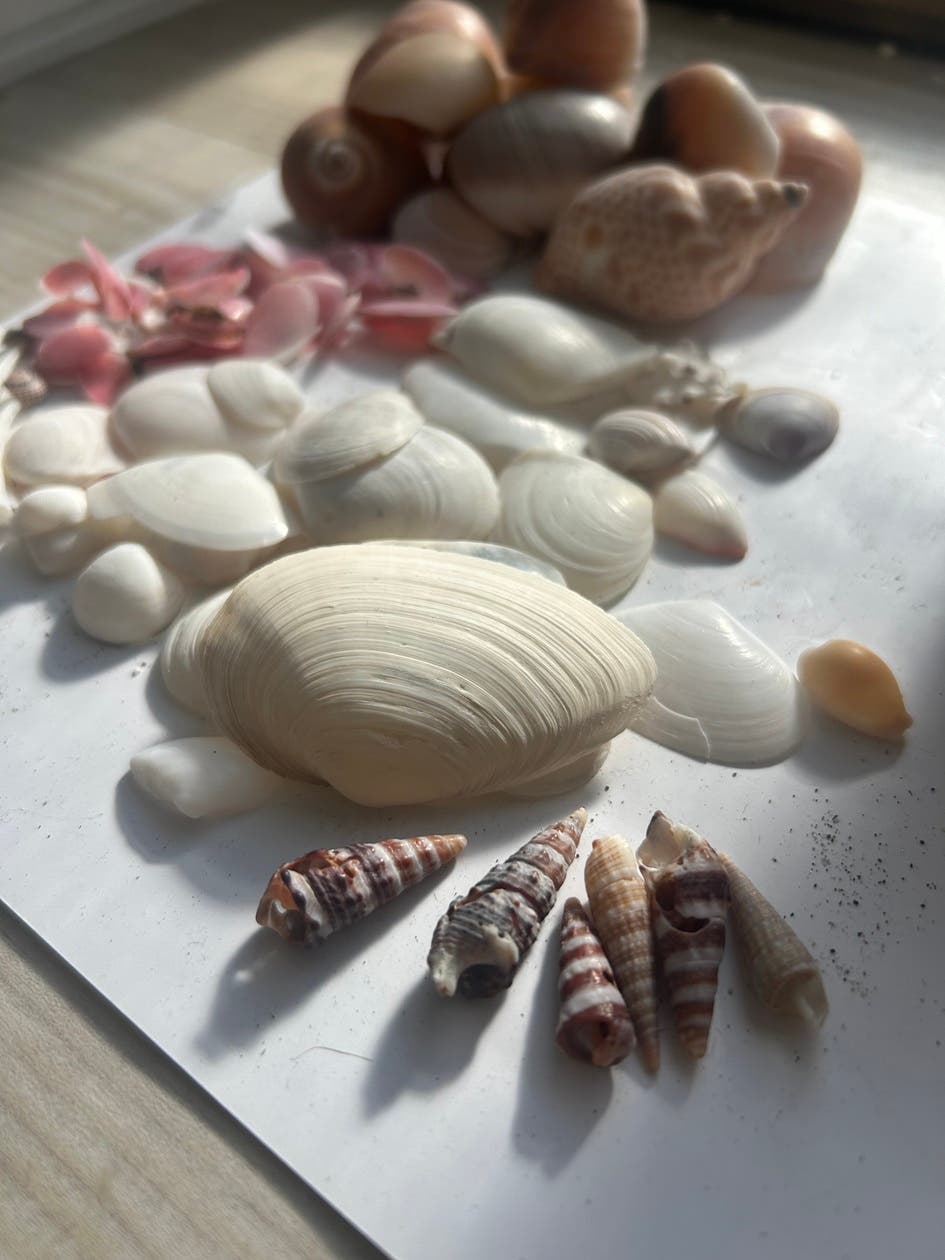 逗子・鎌倉駅からバス徒歩で20分、カフェのような一軒家ワークスペース、居心地のよい逗子サロン（駐車場一台あり）の写真8