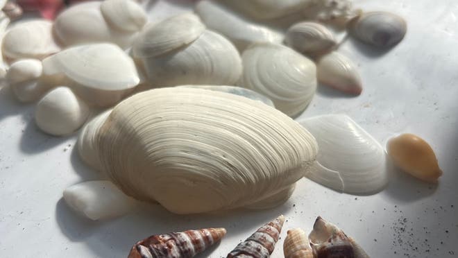 逗子・鎌倉駅からバス徒歩で20分、カフェのような一軒家ワークスペース、居心地のよい逗子サロン(駐車場一台あり)の写真8