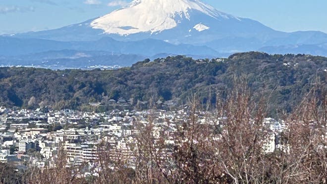 逗子・鎌倉駅からバス徒歩で20分、カフェのような一軒家ワークスペース、居心地のよい逗子サロン(駐車場一台あり)の写真9