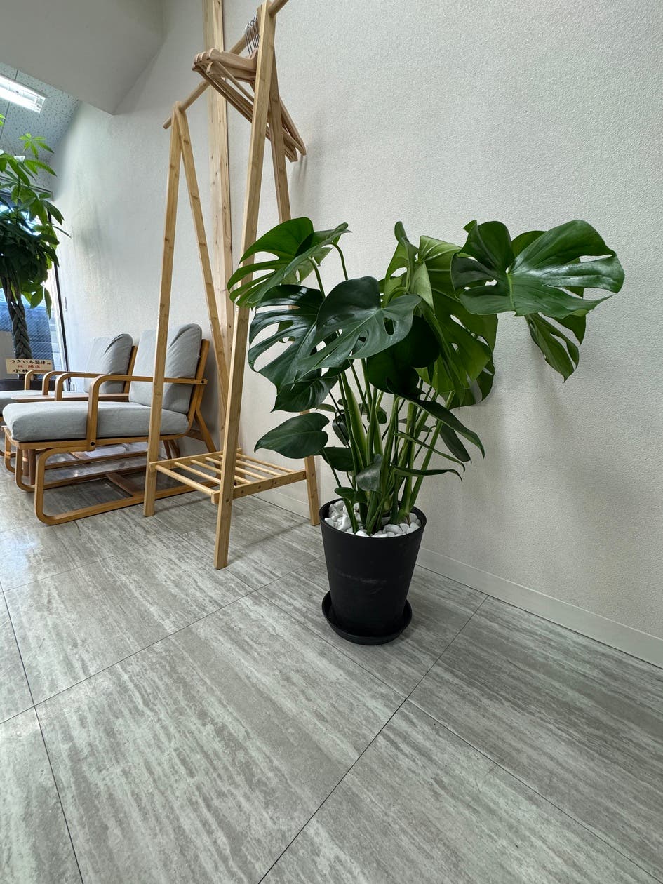 八王子駅北口から徒歩9分のレンタルマッサージサロンの写真11