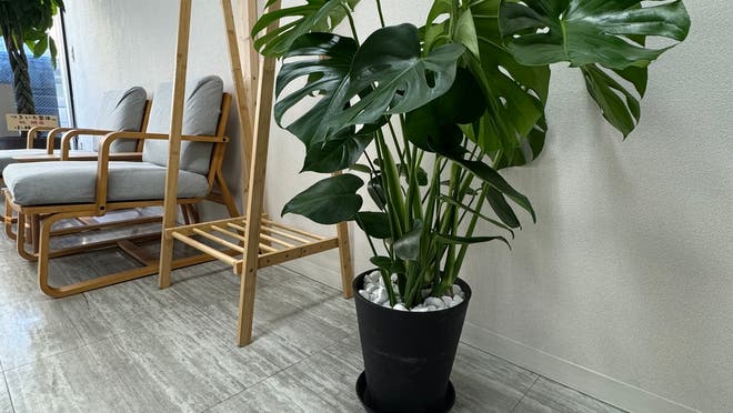 八王子駅北口から徒歩9分のレンタルマッサージサロンの写真11