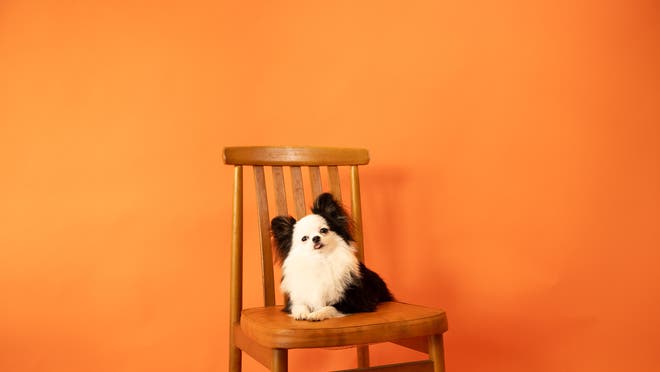 【NEW】【大阪・玉造から徒歩10分】撮影スタジオ|コワーキングスペース | レンタルスペース | レンタルキッチンの写真14