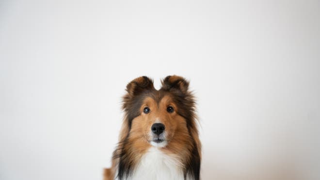 【NEW】【大阪・玉造から徒歩10分】撮影スタジオ|コワーキングスペース | レンタルスペース | レンタルキッチンの写真15