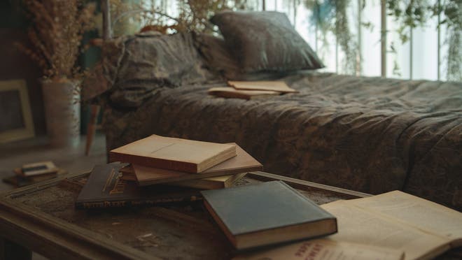 ✨️内装リニューアル✨️【エリックスタジオ】ダーク&クラシックの異世界空間!江戸川橋駅徒歩3分/自然光/廃墟風/ポートレート撮影の写真15