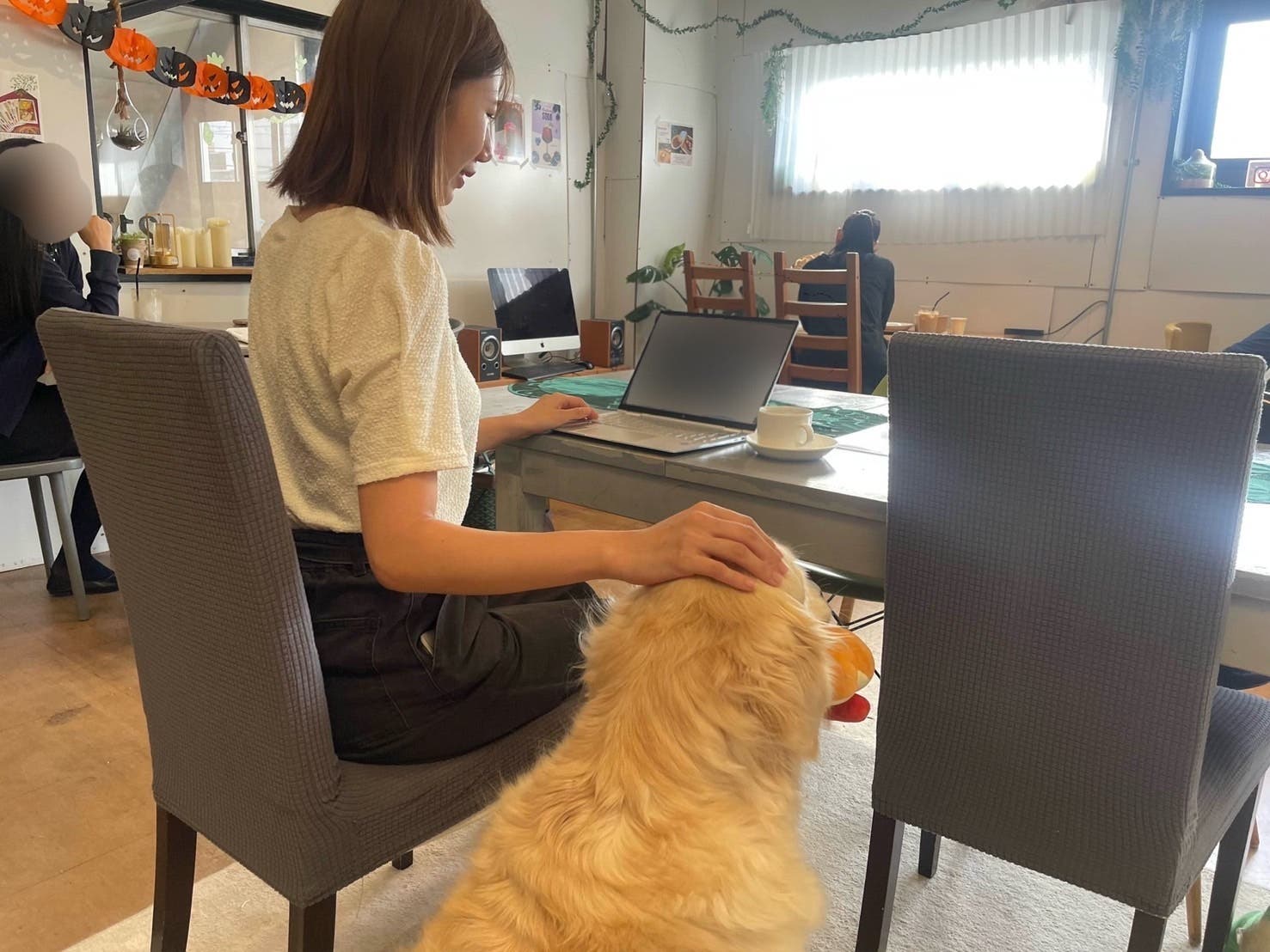 おしゃれなドッグカフェがあなたのオフィスに！の写真5