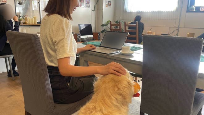 おしゃれなドッグカフェがあなたのオフィスに!の写真5