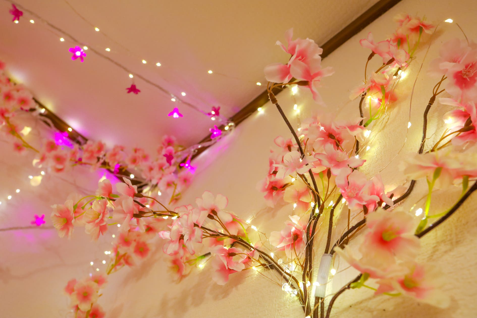 🌟【金山駅徒歩3分】🌸桜イルミネーション🌸⭐️第一弾・奏⭐️✨声で点灯！誕生日・女子会・推し活・撮影に💖キッチン&夜景もの写真4