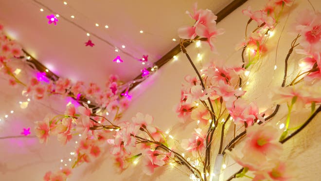 🌟【金山駅徒歩3分】🌸桜イルミネーション🌸⭐️第一弾・奏⭐️✨声で点灯!誕生日・女子会・推し活・撮影に💖キッチン&夜景もの写真4