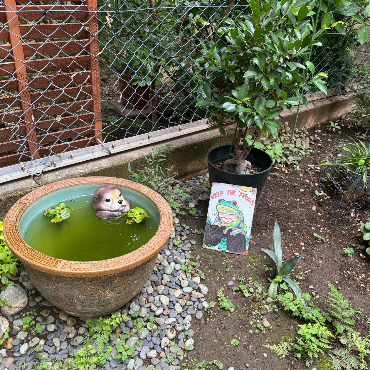 森に迷い込んだかのような庭。の写真2