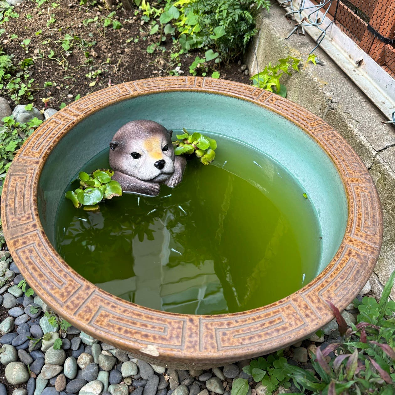 森に迷い込んだかのような庭。の写真3