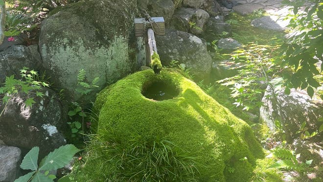 日本庭園つき茶室 Traditional tea house with Japanese garden の写真1