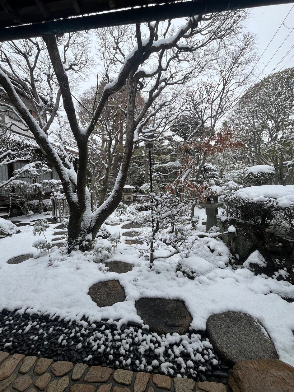 日本庭園つき茶室　Traditional tea house with Japanese garden の写真12