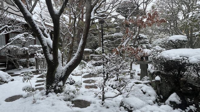 日本庭園つき茶室 Traditional tea house with Japanese garden の写真12