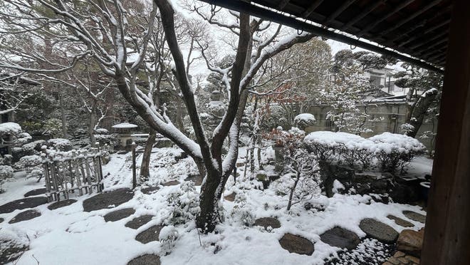 日本庭園つき茶室 Traditional tea house with Japanese garden の写真13