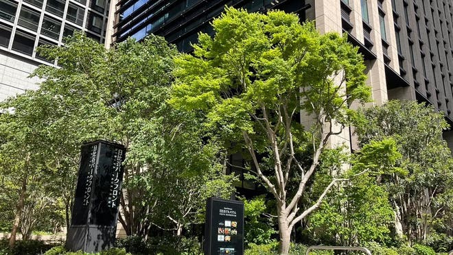 【QUICK solo 日比谷パークフロント】No.1 完全個室⭐️Wi-Fi無料!テレワーク/Zoom/自習の写真5