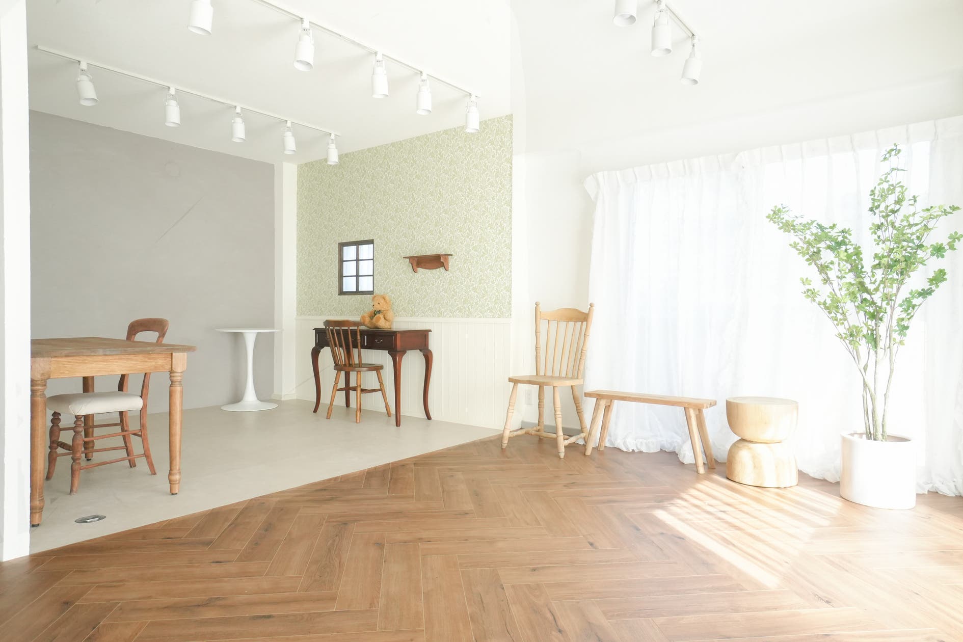 OPEN記念割🌿自然光差し込む撮影スタジオ☀️背景6種×撮影機材📸千駄ヶ谷｜バースデーフォト、推し活、ポートレート撮影の写真2