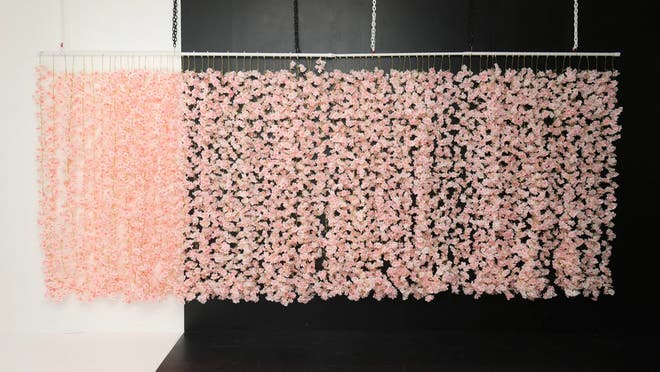 【桜セット4月末まで】壁・床にペイントOK⭐︎天井高2.7m⭐︎シンプルな白黒空間⭐︎駐車場1台有⭐︎最寄駅から徒歩4分の写真18