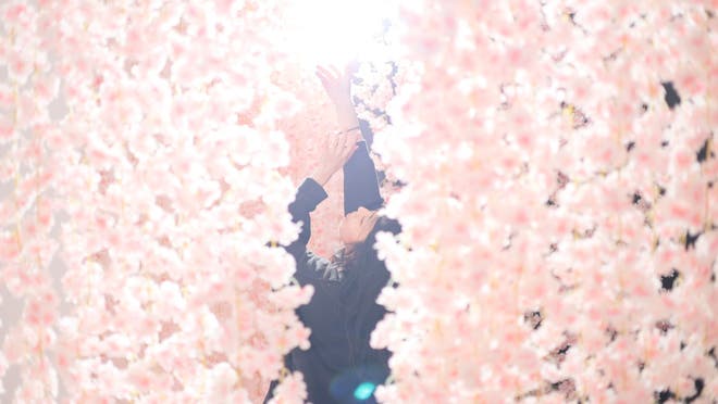 【桜セット4月末まで】壁・床にペイントOK⭐︎天井高2.7m⭐︎シンプルな白黒空間⭐︎駐車場1台有⭐︎最寄駅から徒歩4分の写真20