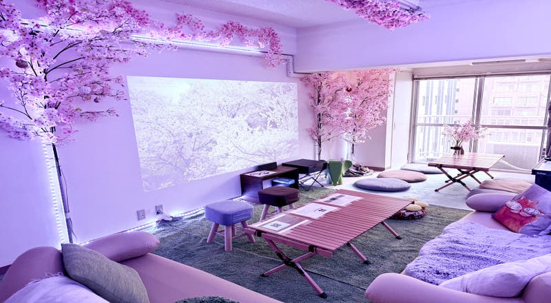インドア花見始めました🌸110インチプロジェクターで動画が見放題🎞️✨新大阪駅徒歩5分🏠🎉