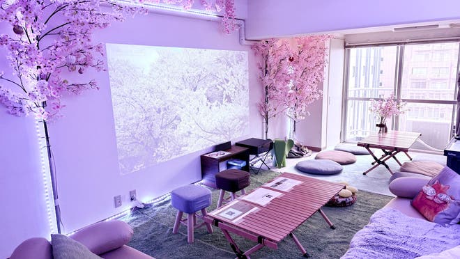 お花見始めました🌸110インチプロジェクターで動画が見放題🎞️✨新大阪駅徒歩5分🏠🎉の写真1