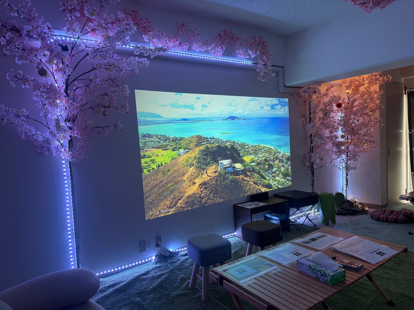 お花見始めました🌸110インチプロジェクターで動画が見放題🎞️✨新大阪駅徒歩5分🏠🎉の写真3