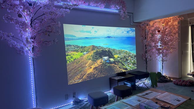 お花見始めました🌸110インチプロジェクターで動画が見放題🎞️✨新大阪駅徒歩5分🏠🎉の写真3