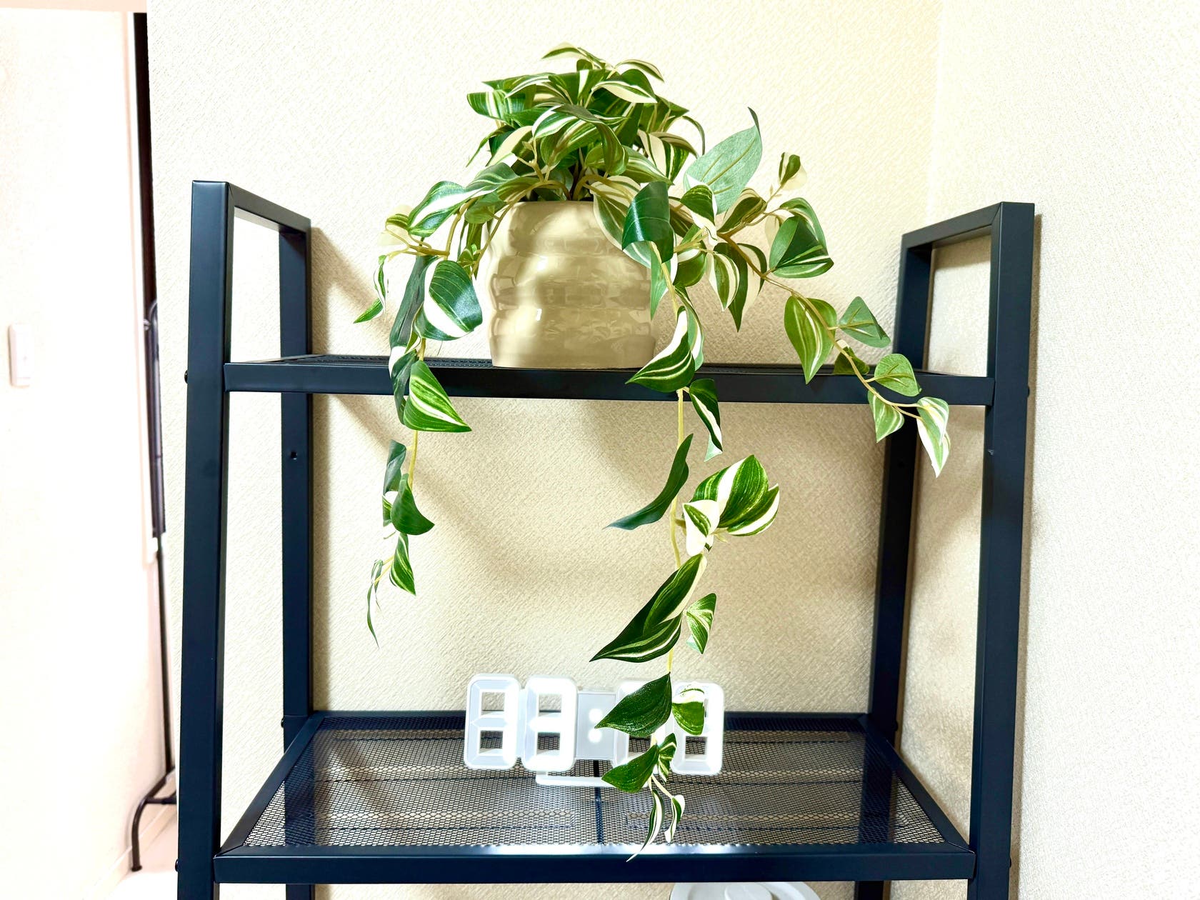 渋谷４分💡パーティ&撮影ルーム🪅 - NODE SHIBUYAの写真5