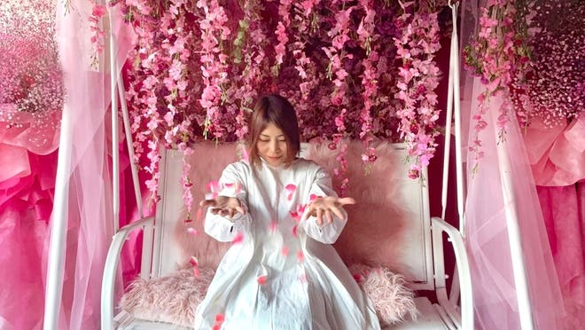 ペット撮影OK!ドライフラワーで装飾された異空間で撮影しませんか?の写真2