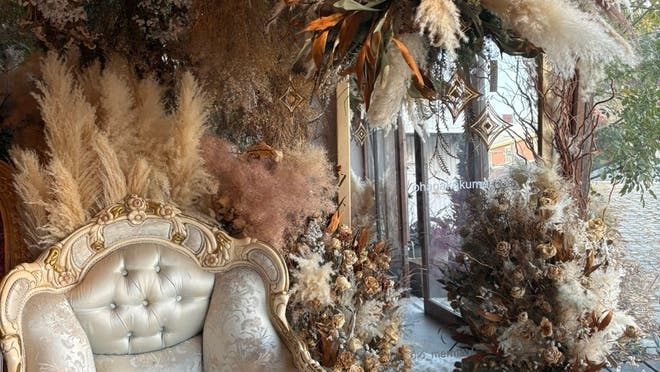 ペット撮影OK!ドライフラワーで装飾された異空間で撮影しませんか?の写真3