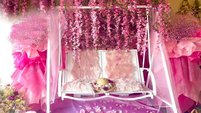 ペット撮影OK!ドライフラワーで装飾された異空間で撮影しませんか?の写真1