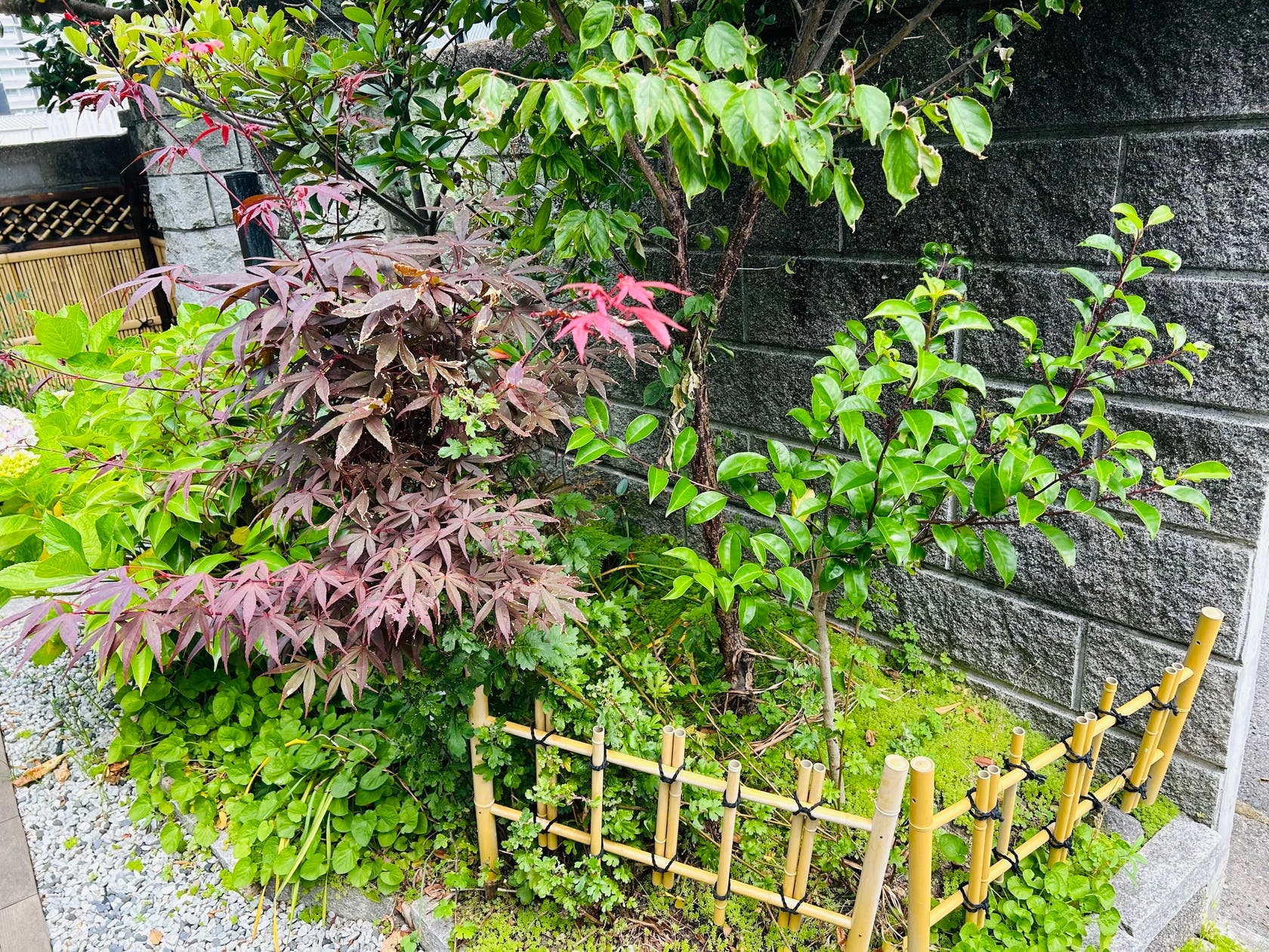 広い一軒家の一階部分貸し出し、高松駅、港徒歩5分、スーパー1分、海、浜辺2分。の写真4